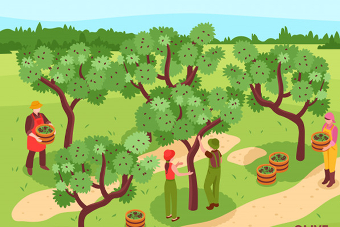 Pesticides, comment préserver sa santé, comment agir ? | Agence ... Pesticides, comment préserver sa santé, comment agir ? | Agence ...